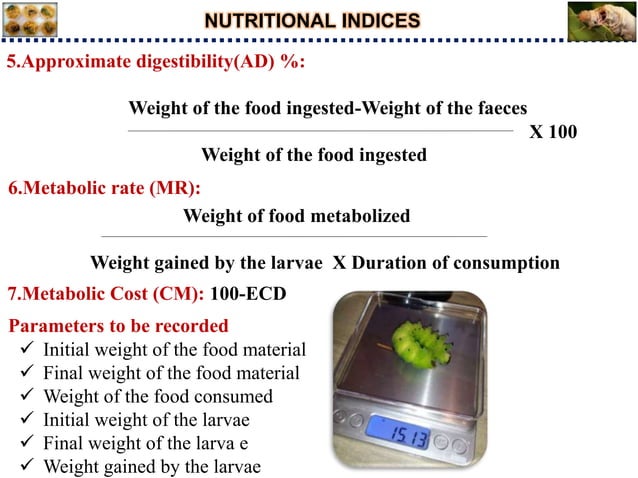 Measurements of food utilization_S.Srinivasnaik_RAD21-25.ppt