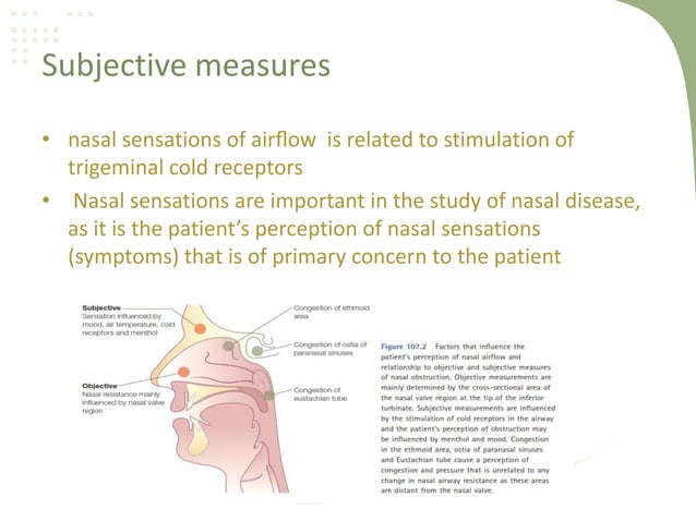 Measurements of nasal airway(dr ravindra daggupati),rhinomanometry ...