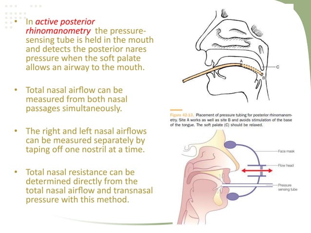 Measurements of nasal airway(dr ravindra daggupati),rhinomanometry ...