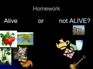 Measurement Writing | PPT