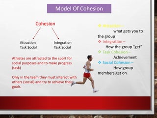 Measurenment of Cohesion | PPTX | Soccer | Sports