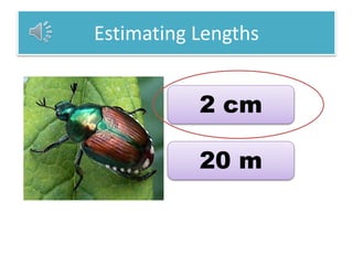 Measure of length ppt | PPTX