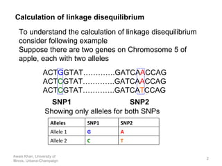 Measures of Linkage Disequilibrium | PPT