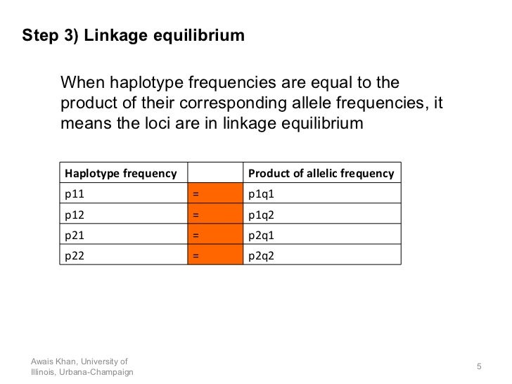 What Is Linkage Equilibrium And Disequilibrium at Glenn Ledoux blog