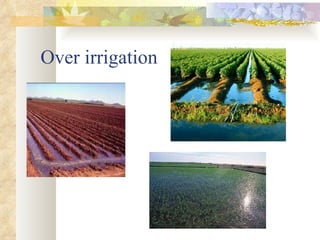 Measures of the health of the environment | PPT