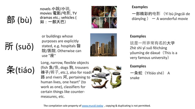 Learning Chinese : Measure words and Classifiers | PPT
