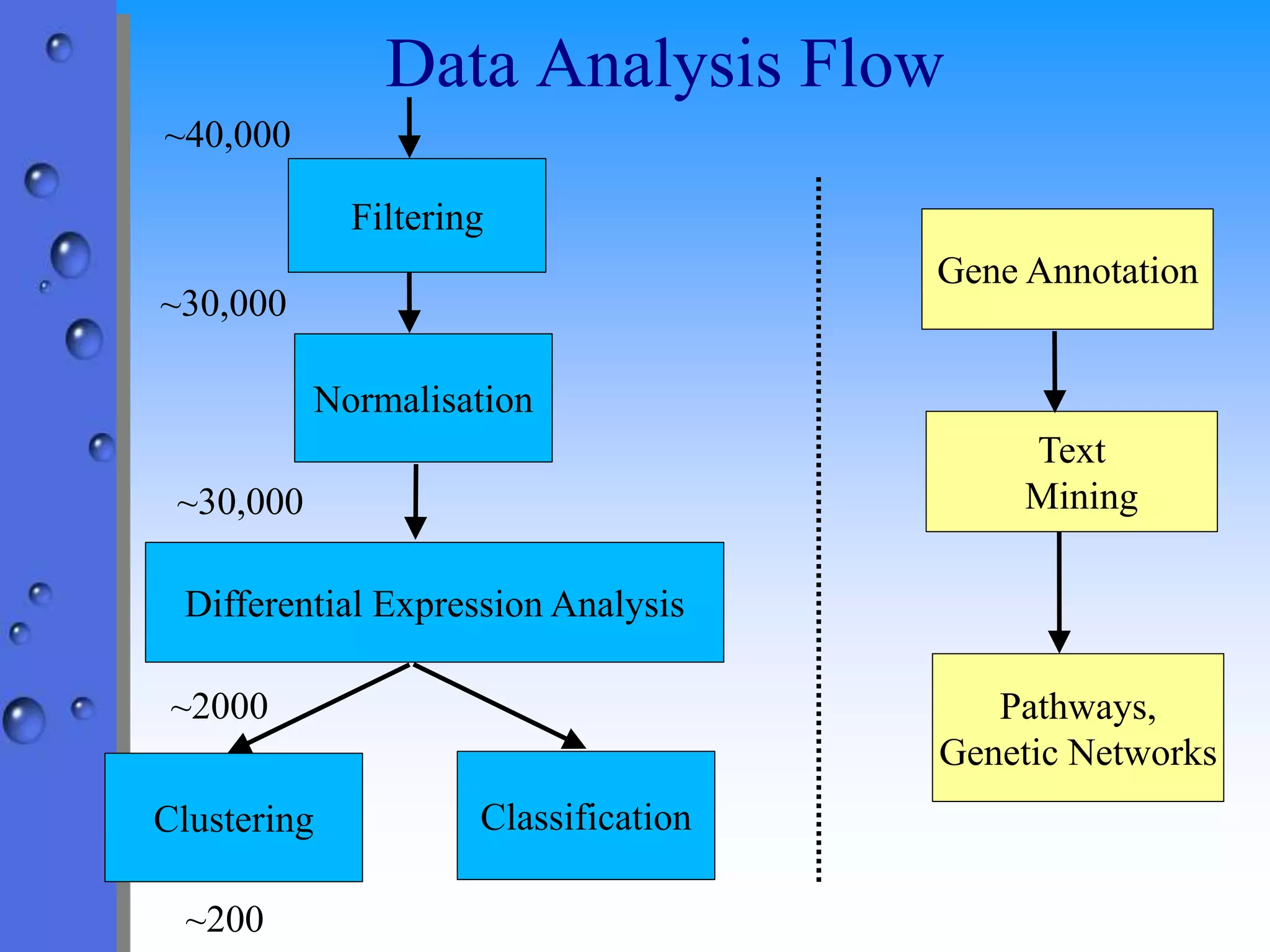 Measuring Gene Expression | PPTX