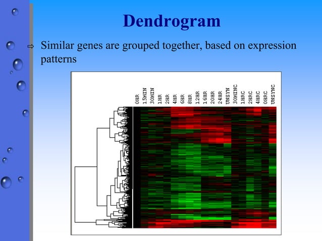 Measuring Gene Expression | PPTX