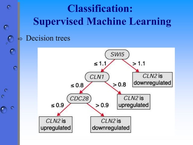 Measuring Gene Expression | PPTX