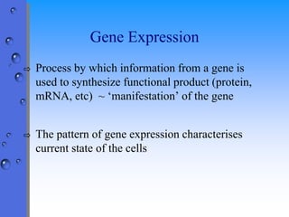 Measuring Gene Expression | PPTX