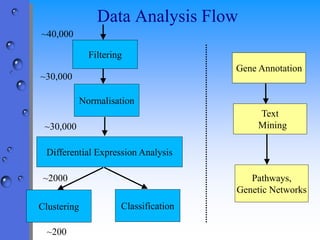 Measuring Gene Expression | PPTX