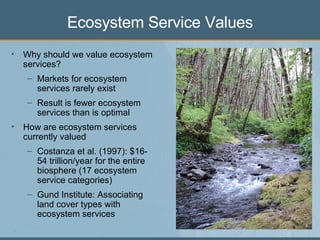Measuring, Valuation and Pricing of Ecosystem Services | PPT