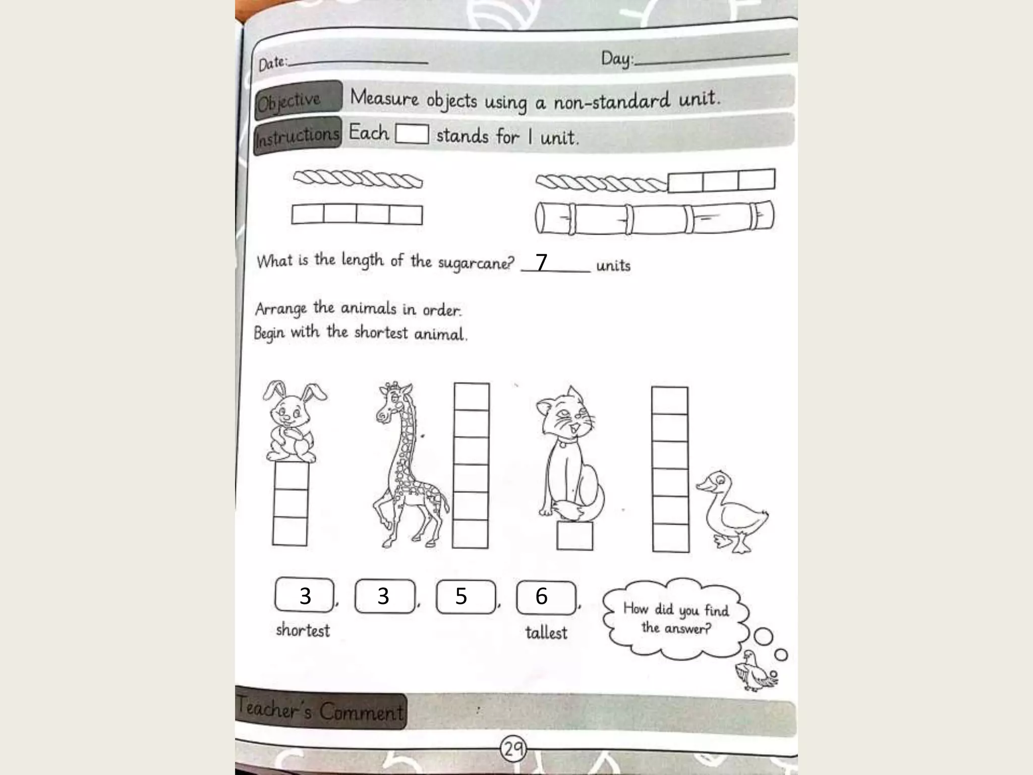 Measuring and comparing lengths with non standard units | PPTX