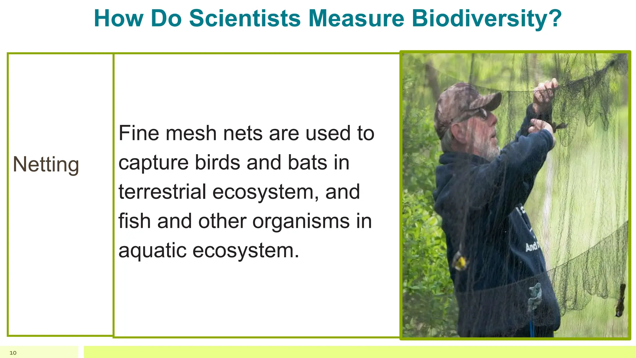 Measuring Biodiversity.pptx_Methods&processes | PPTX