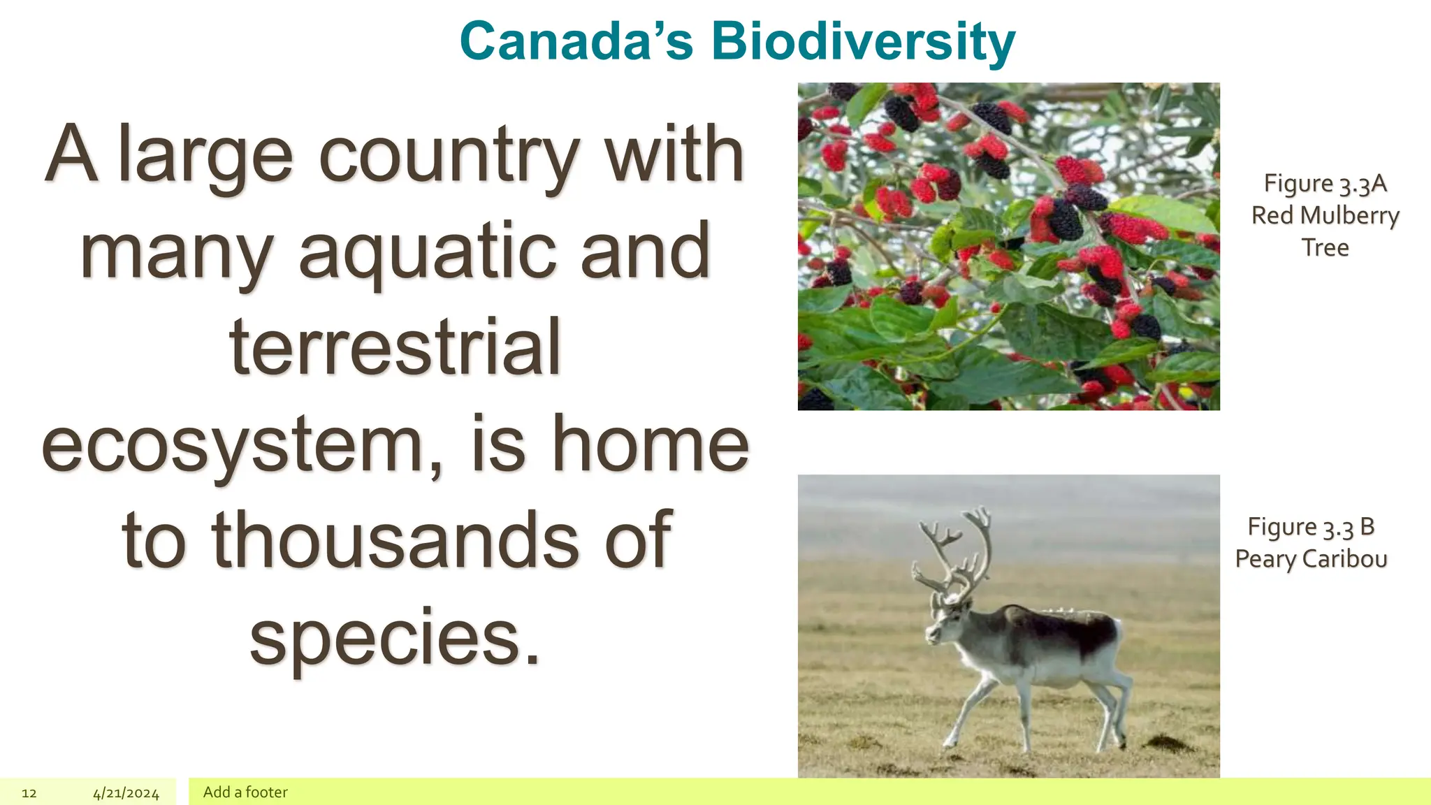 Measuring Biodiversity.pptx_Methods&processes | PPTX