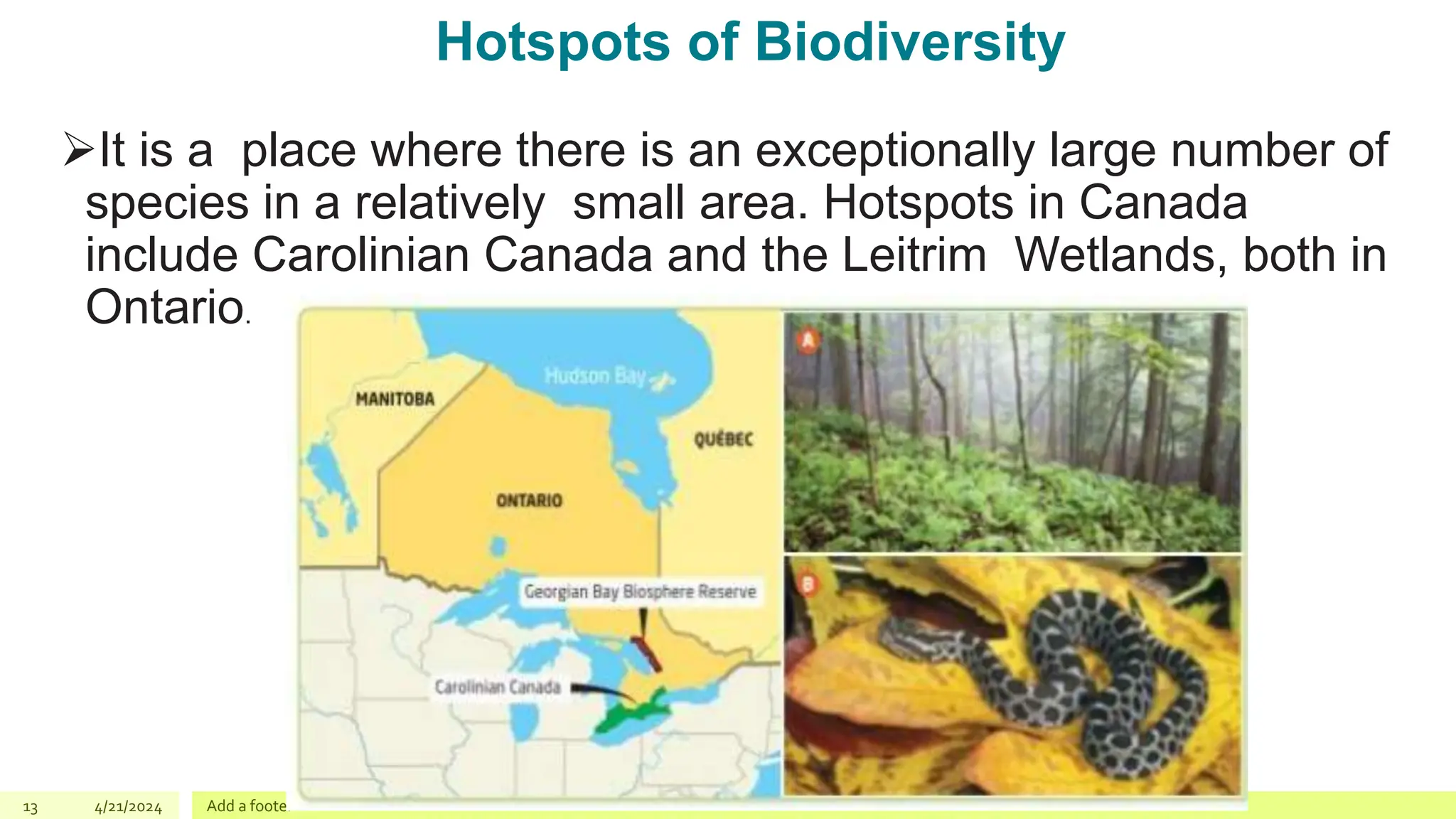 Measuring Biodiversity.pptx_Methods&processes | PPTX