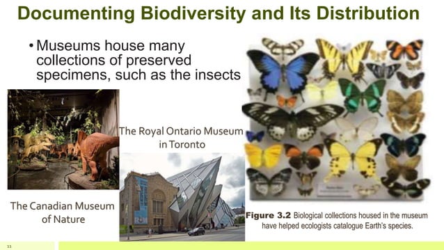Measuring Biodiversity.pptx_Methods&processes | PPT