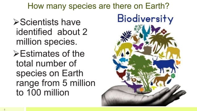 Measuring Biodiversity.pptx_Methods&processes | PPT
