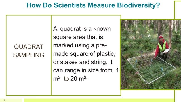 Measuring Biodiversity.pptx_Methods&processes | PPT
