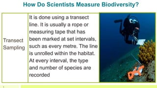 Measuring Biodiversity.pptx_Methods&processes | PPTX