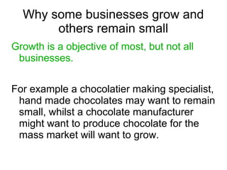 Measuring business size | PPT