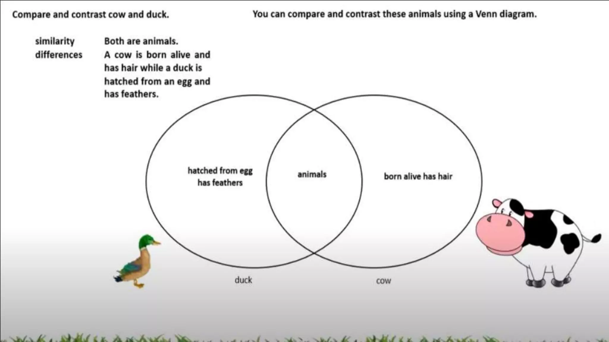 Science Process Skills | PPTX