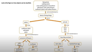 Science Process Skills | PPTX