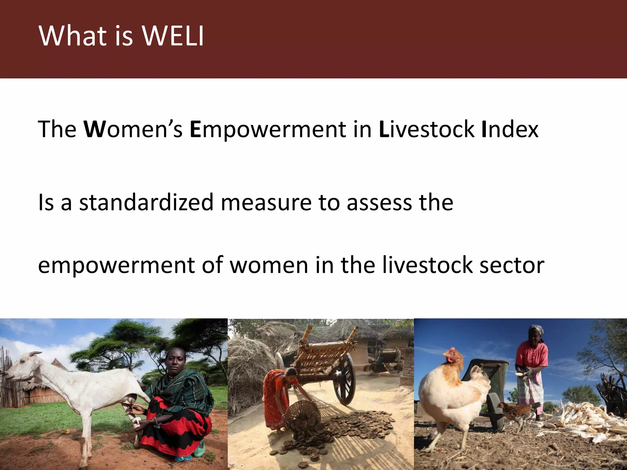 Measuring empowerment in agricultural development projects using WEAI ...