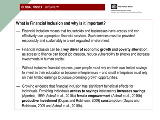 Measuring Financial Inclusion the Global Findex | PDF | Financial ...