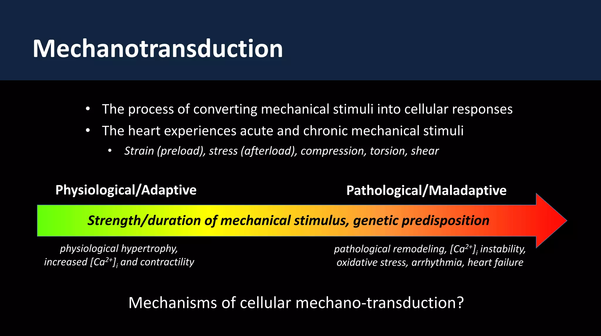 Measuring Force in Single Heart Cells | PPT