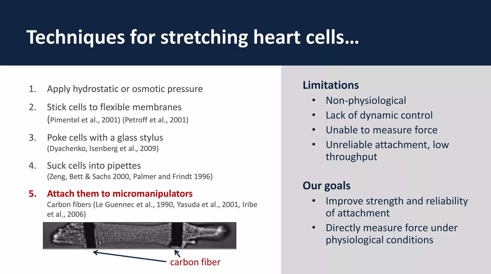 Measuring Force in Single Heart Cells | PPT