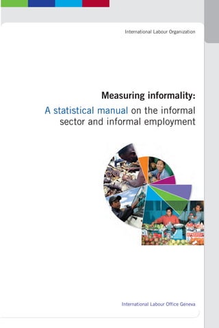 Measuring informality a statistical manual on the informal sector and ...