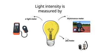 Measuring light intensity with light meter | PPTX