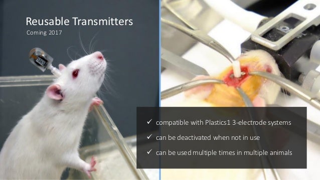 Measuring Long-Term, Wireless EEG in Rodents using Epitel-Epoch and ...