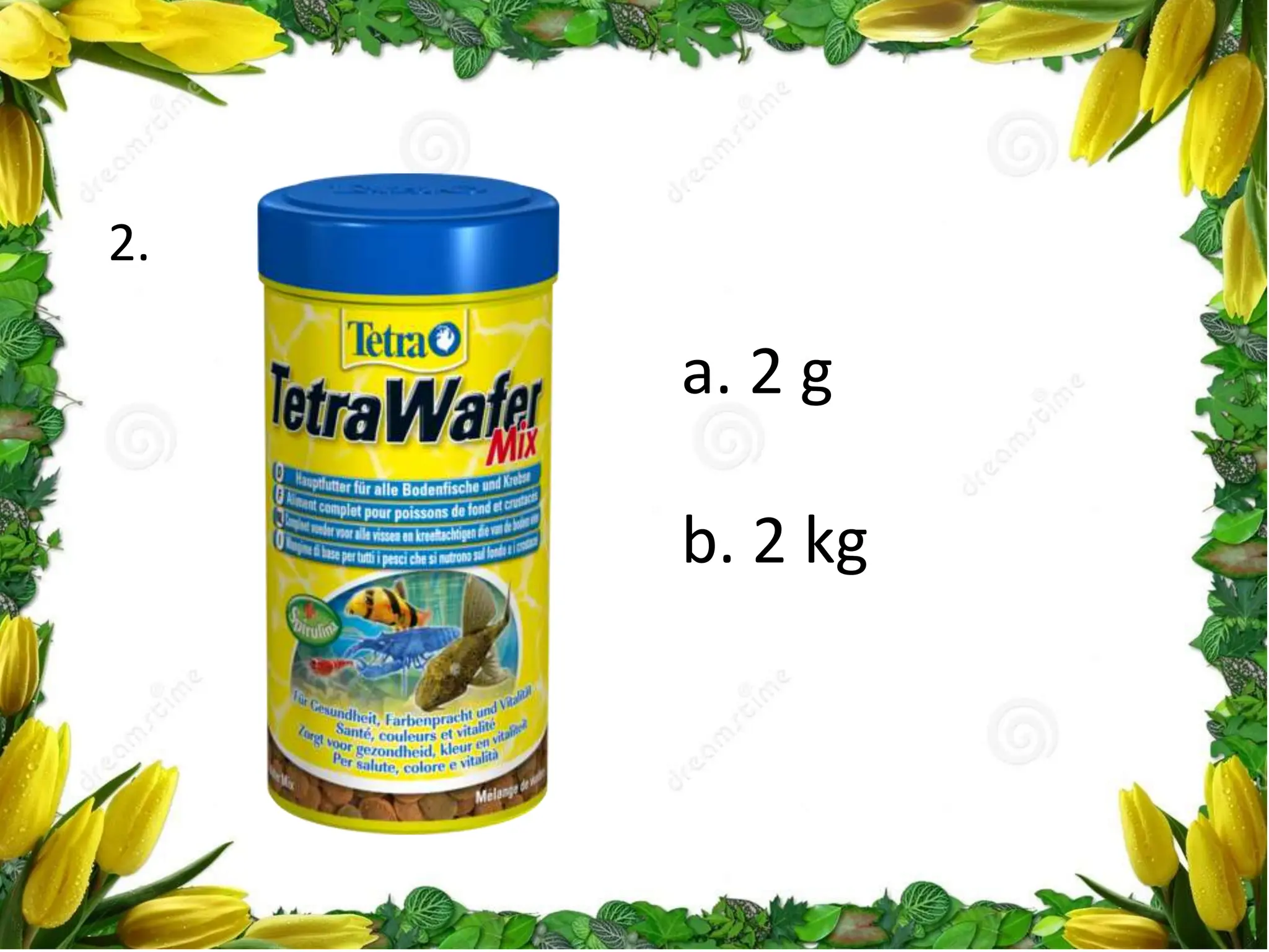 Mass / Weight Measure for Gr3 4QT.pptptx | PPTX