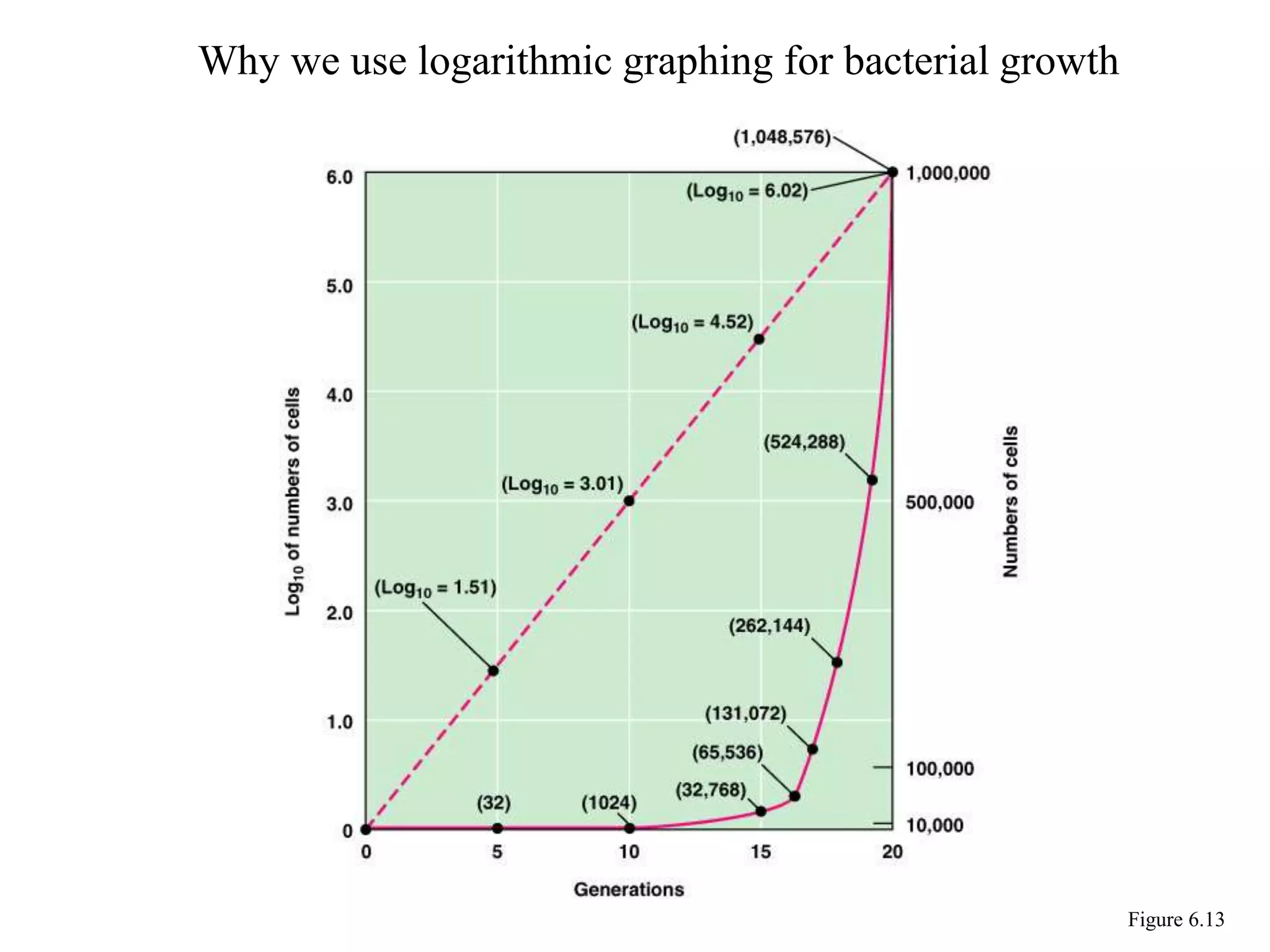Measuring Microbial Growth.ppt