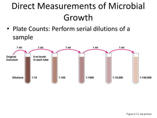 Measuring Microbial Growth.ppt