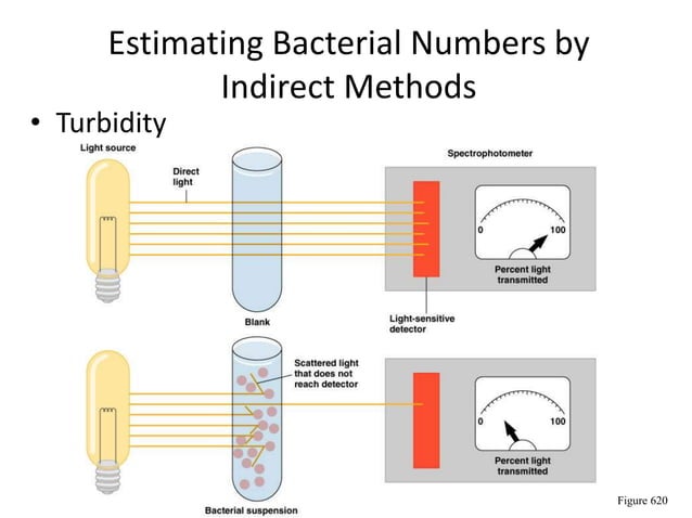 Measuring Microbial Growth.ppt | Biological Sciences | Science