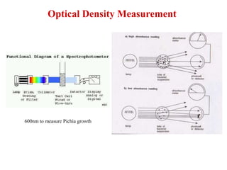 Measuring Microbial Growth.ppt