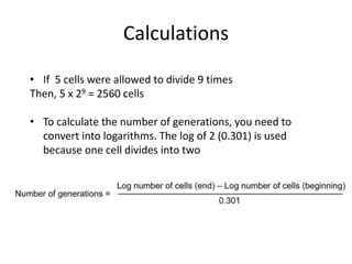 Measuring Microbial Growth.ppt