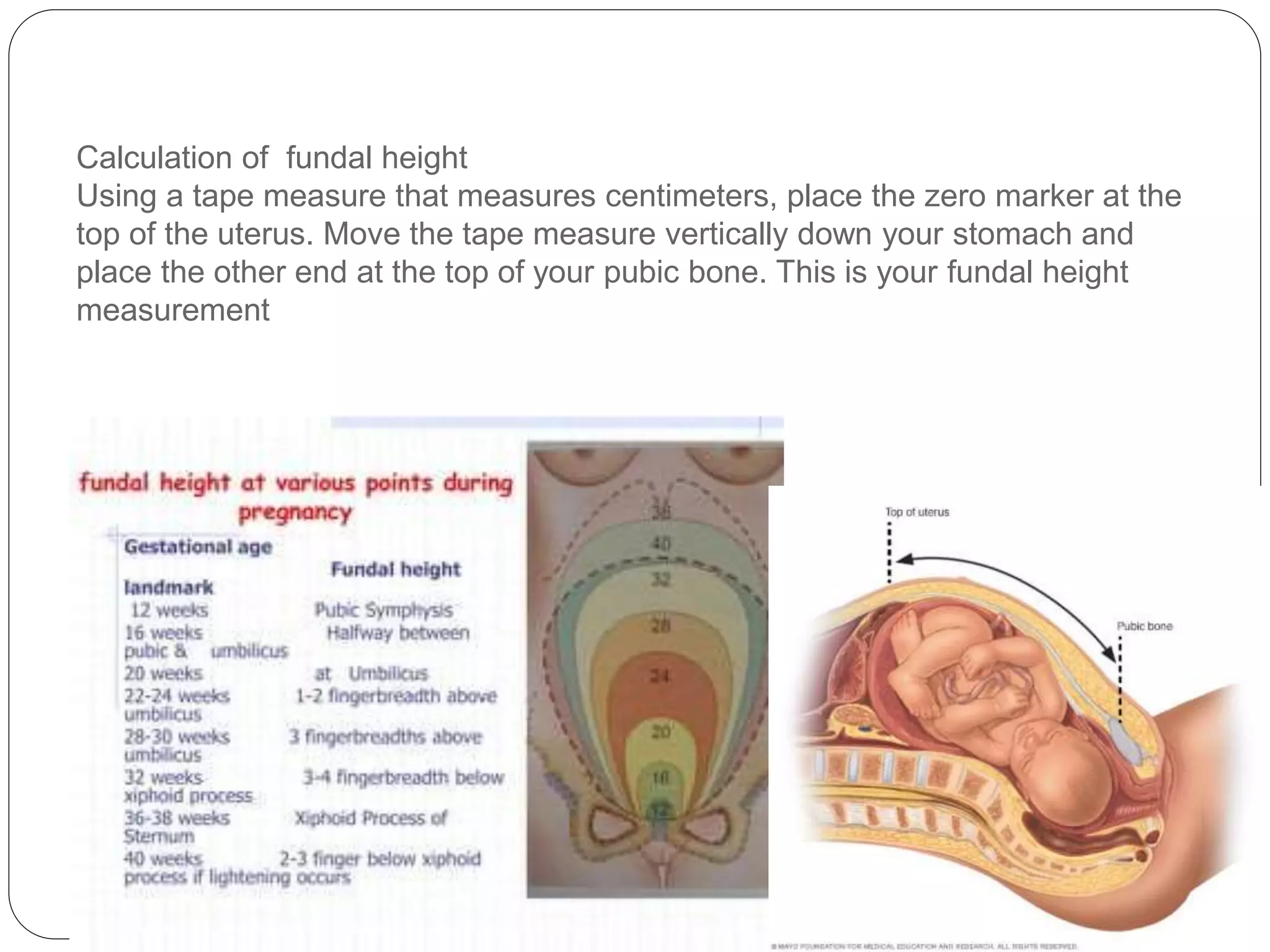 Measuring Of Fundal Height pptx Measuring Of Fundal Height pptx