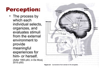 Measuring perception for beginners comm kc | PPT