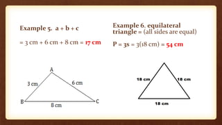 Measuring perimeter, circumference and area | PPTX