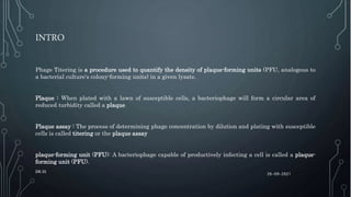 Measuring phage titer | PPT
