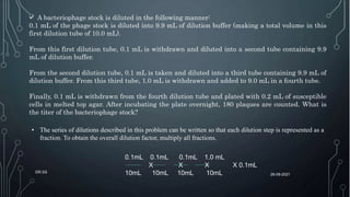 Measuring phage titer | PPT