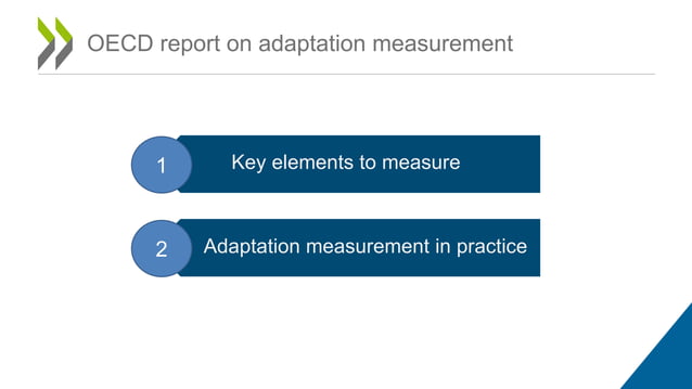 Measuring Progress In Implementing National Adaptation Policiespdf
