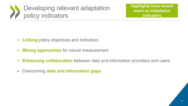 Measuring Progress In Implementing National Adaptation Policiespdf