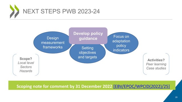 Measuring Progress In Implementing National Adaptation Policiespdf