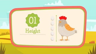 Measuring Specifications.pptx