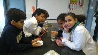 Measuring temperatures in the science lab | PPT